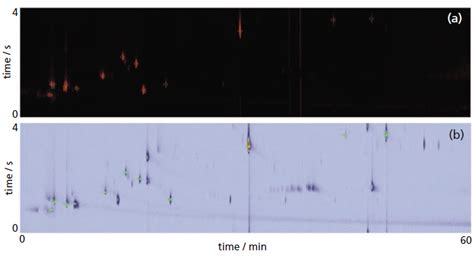 Solid Phase Microextraction Combined With Flow Modulated Comprehensive