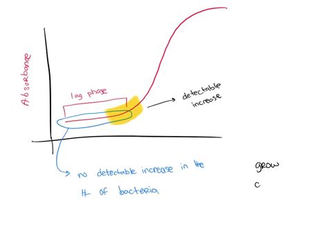 Solved What Cell Activity Of Bacteria In Short Lag Phase