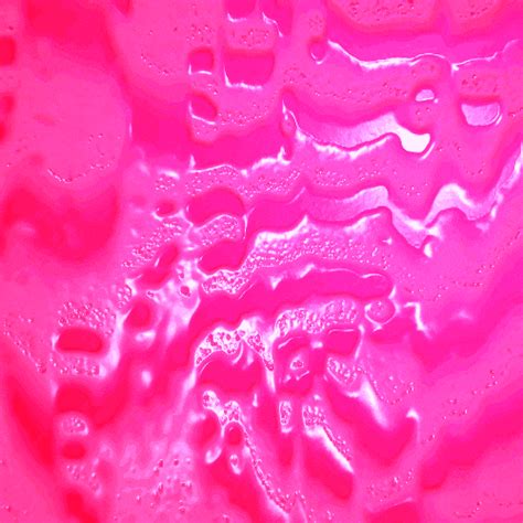 Pink Wallpaper  At Seth Obrien Blog