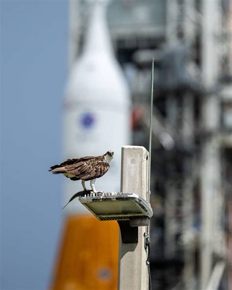 Bird Rocket Prepare For Flight At Kennedy Space Center R Scienceimages