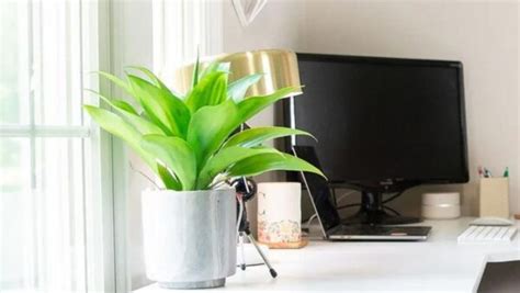 How To Hide The Back Of A Computer Monitor 7 Easy Ways Monitors Hype