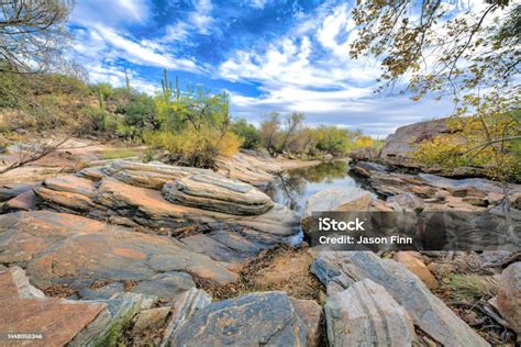 Sabino Creek With Reflective Water At Sabino Canyon State Park In