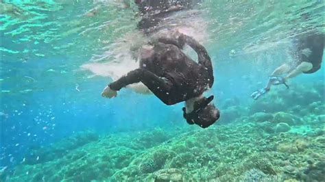 친구들과 떠난 보홀여행 친구 우정여행 보홀 성향차이 Youtube