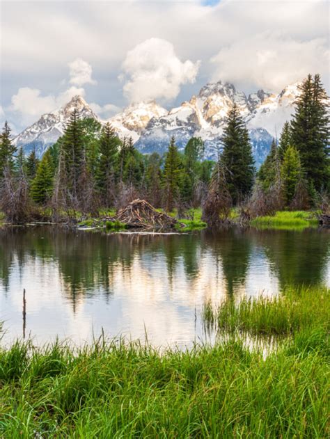 Grand Teton National Park Spring Activities Story Photojeepers