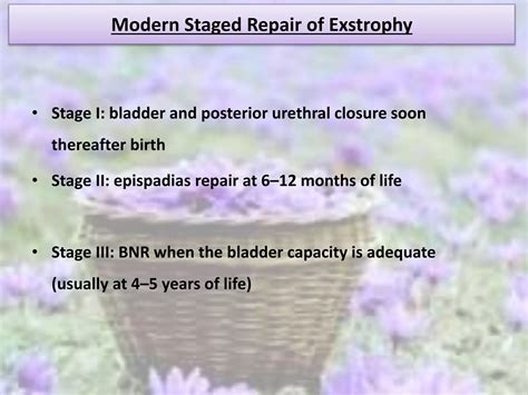 Exstrophy Epispadias Complex Msre And Cpre Pptx