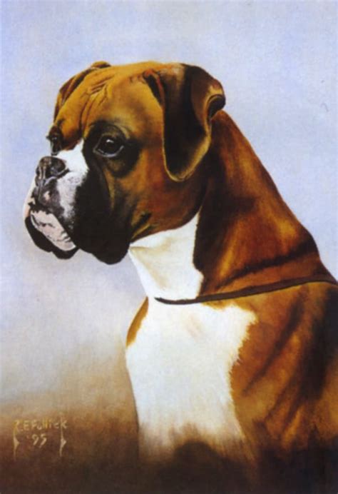 R F Fullick Original Illustrated Breeds