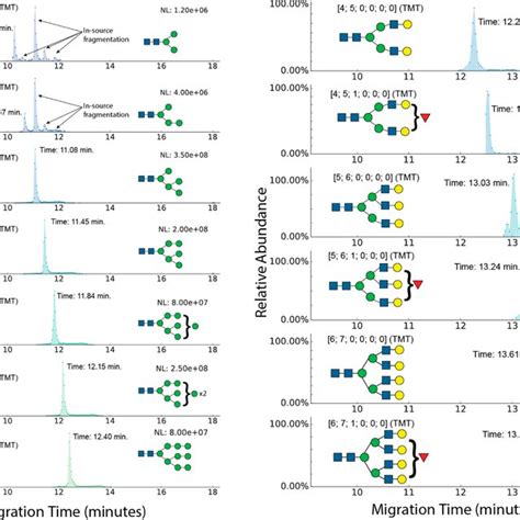 Derivatized Sialylated Glycans Eies Showing Sialylated N Glycans With