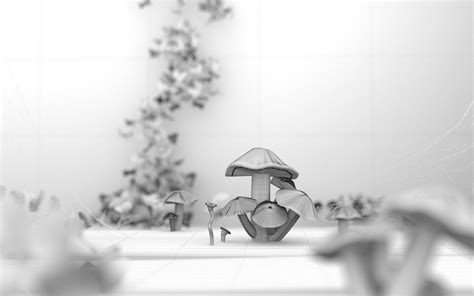 Fellas Farid Ghanbari