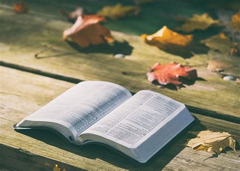 사진 태그 독서 Pikist