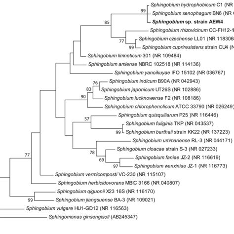 Fructose Growth Dynamics Of Sphingobium Species Growth Of Sphingobium Download Scientific