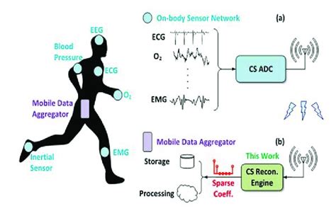 Compressed Sensing In Health Care Download Scientific Diagram