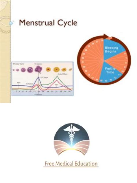 Sciene G 10 Menstrual Cycle Wps Office Pptx Demo Snhs Pdf Social