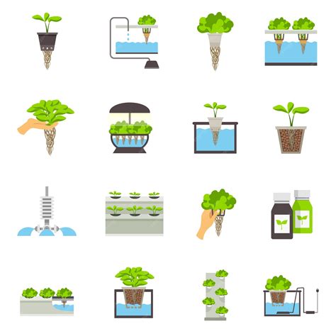 Premium Vector Hydroponic Flat Icons