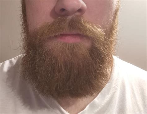 Beard Album On Imgur Beard Album On Imgur