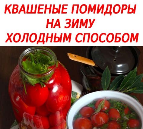 КВАШЕНЫЕ ПОМИДОРЫ НА ЗИМУ ХОЛОДНЫМ СПОСОБОМ