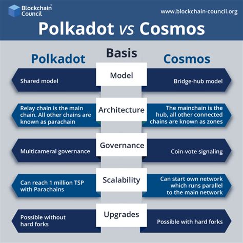 Polkadot Vs Cosmos Blockchain Council