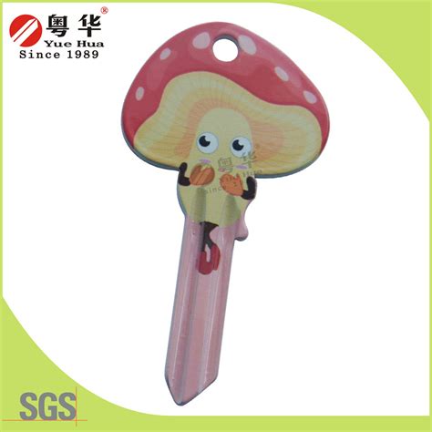 Key Blank For Computerized Key Cutting Machine China Key Blanks And Color Key Blanks