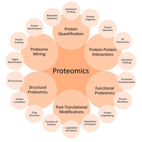 Unraveling The Different Types Of Proteomics Silantes