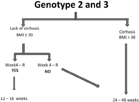 Algorithm For Response Guided Treatment In Patients Infected With Download Scientific Diagram