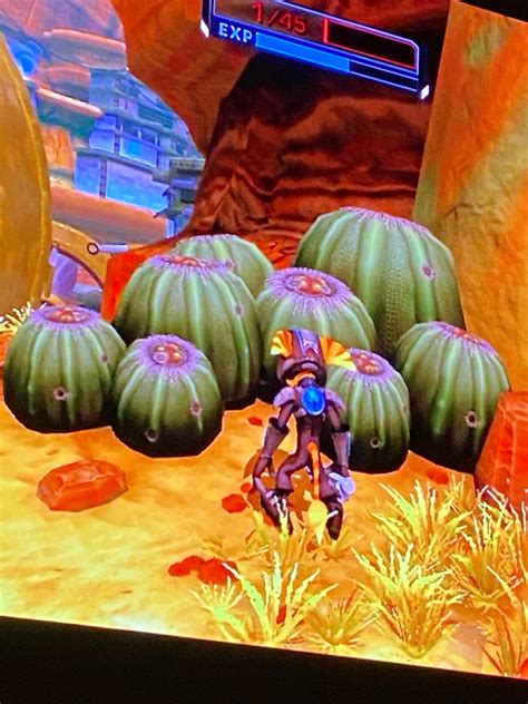 Are These Active R Mescaline