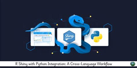 R Shiny With Python Integration A Cross Language Workflow Locus It Services Pvt Ltd