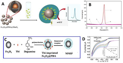 A Capture And Detection Of The Target Pb Ii In Sample Solution B Download Scientific