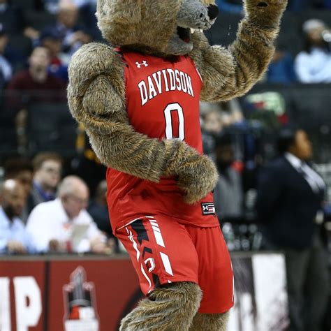 Davidson College Mascot