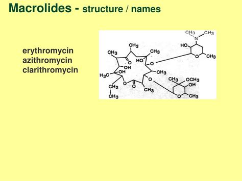 Ppt Protein Synthesis Inhibitors Powerpoint Presentation Free