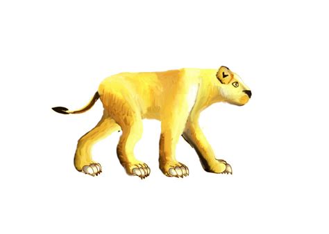 Smilodon Cub By Karpatskydrak On Deviantart