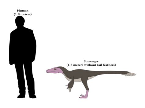 Discuss Everything About Dinopedia Fandom