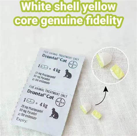 Drontal Deworm Cat Tablet Pet Supplies Health And Grooming On Carousell