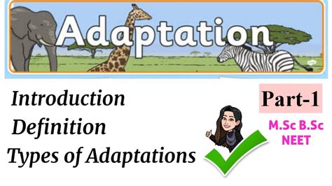Adaptation Definition