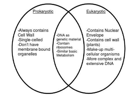 Venn Diagram Of Prokaryotes Eukaryotes And Viruses