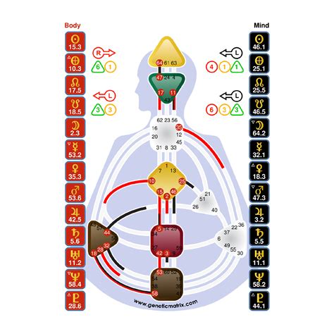 Human Design Definition Single Split Triple Split Quadruple Split