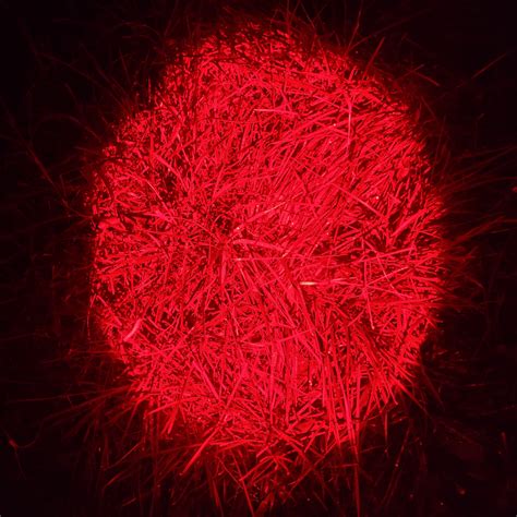 Oc Grass Under Red Light Rpics