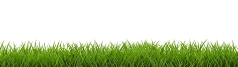 Premium Vector Grass Frame With Isolated White Background
