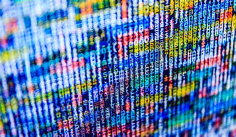 5 Things To Know About Data De Identification And Why Its Important