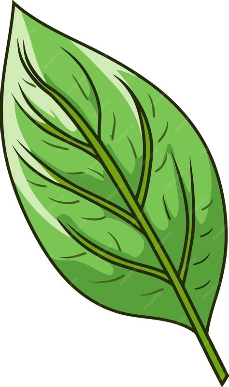 Premium Vector Abstract Botanicals Geometric Leaf Vector