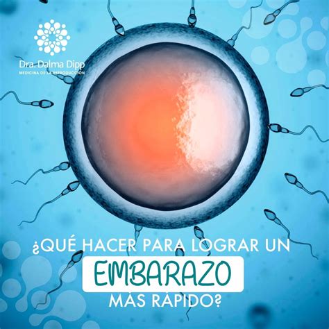 Dra Dalma Dipp Dradalmadipp • Instagram Photos And Videos