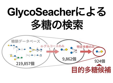 酵素法による機能性素材製造の生産性向上に向けて、digzyme、松谷化学工業株式会社と共同研究開発契約を締結 株式会社 Digzyme