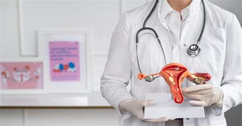 Does Ovarian Rejuvenation Improve Your Fertility Understanding The