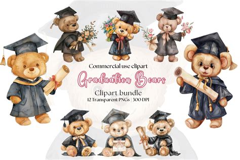 Watercolor Cute Graduation Bear Clipart Graphic By Clip Craft Emporium