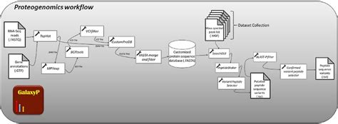 Proteogenomics Galaxy P