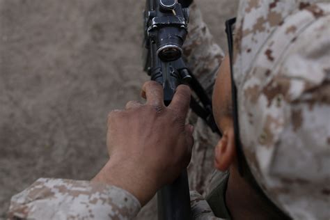 Dvids Images Grass Week Image 5 Of 5