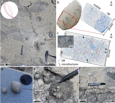 8 Typical Relationships Between Nodules And Dbs A Continuous