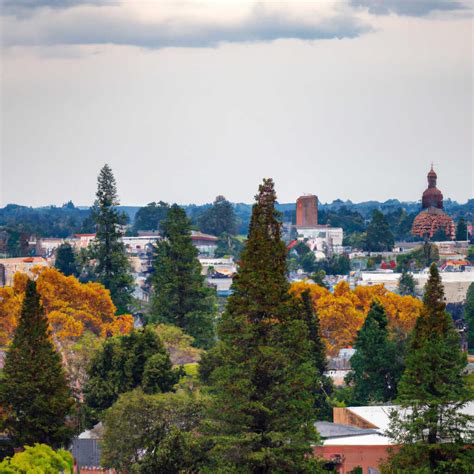 Chico Chico Everything You Need To Know