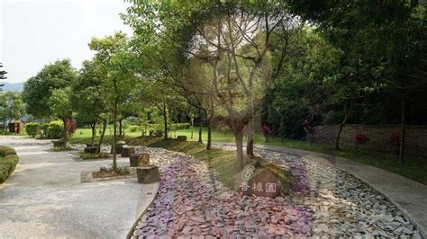 Barbie Hsus Final Resting Place An Eco Friendly Tree Burial In Taipei