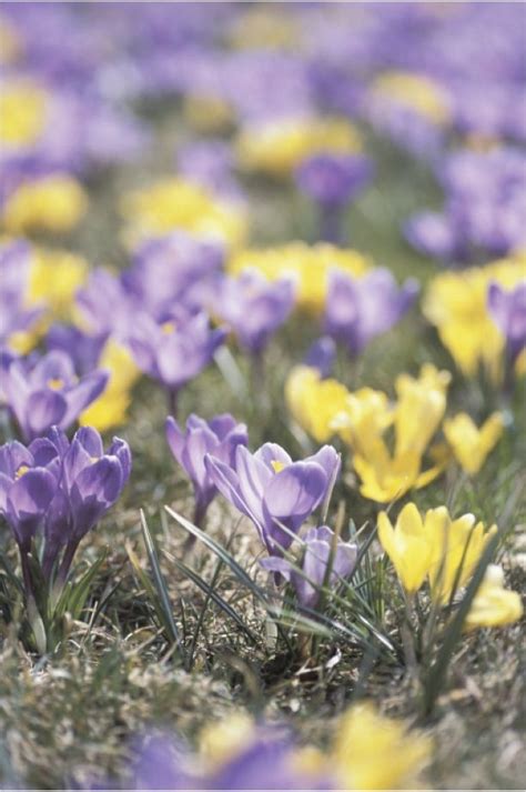 In Observance Of The Easter And Passover Holidays Our Corporate Office