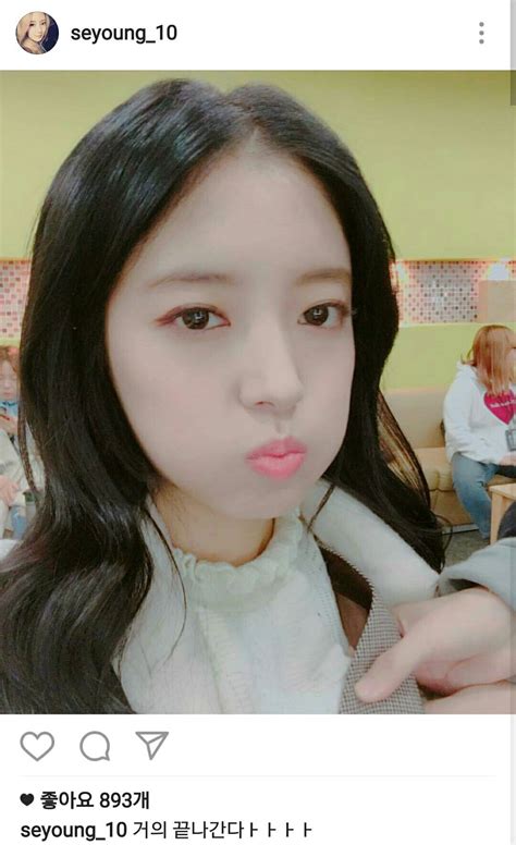 배우 이세영 인스타그램 업뎃 인스티즈instiz 이슈 카테고리