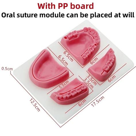 Dental Oralgingival Suture Module Oral Suture Model For Medical